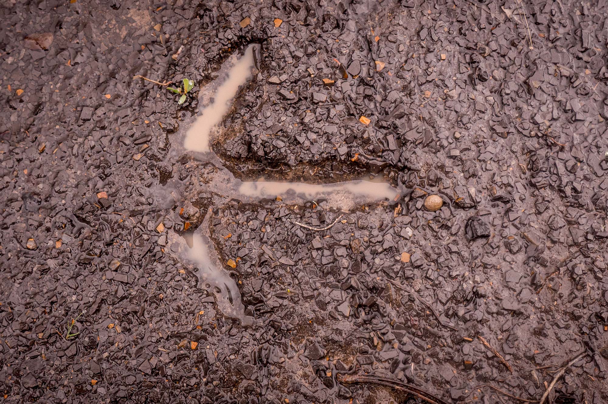 hero-Miller-Yargus-turkey-track-mud_2090011.jpg