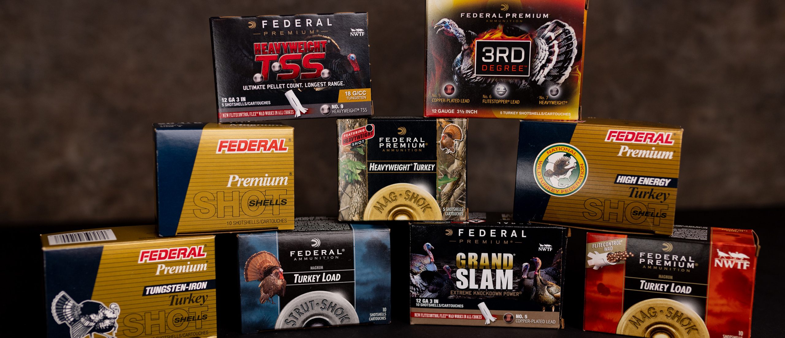 federal-100-full-scaled.jpg