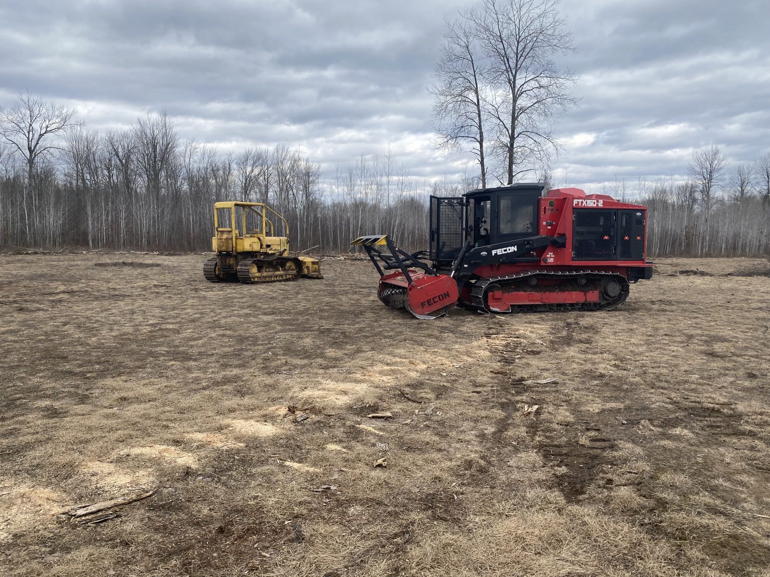 Photo Courtesy of Coree Brooks