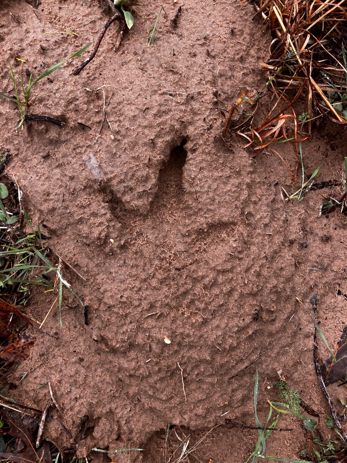 Photo courtesy of Clarissa Molina.